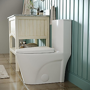 DeerValley Elongated One Piece Toilet with Comfortable Chair Seat Height 17", Dual Power Flush Toilet 1.1/1.6 GPF and 12'' Rough-In Toilet Bowl DV-1F52102