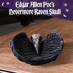 Nemesis Now Edgar Allan Poe's Nevermore Raven Skull Trinket Holder, Gothic Jewelry Dish, Hand-Painted Resin, 17cm