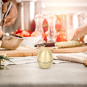 GANAZONO Egg Timer Wind up Timer Kitchen Timer Creative Cooking Timer Reminder Timer Cute Mechanical Timer Rotating Alarm Clock with 60 Minutes for Baking Learning Study Gold
