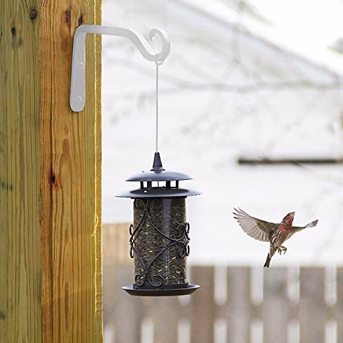 Mkono Hanging Plant Bracket 6 inch Metal Wall Plant Hook Decorative Plant Hanger for Bird Feeders, Planters, Lanterns, Wind Chimes, Home Decor Indoor Outdoor 2 Pack, White