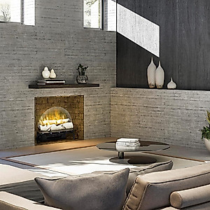 Dimplex Revillusion® 20" Plug-In Birch Log Set (Model RLG20BR), BTU 5118, 120 Volt, 1500 Watt