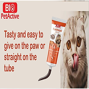 Bio Pet Active CatiMalt +Plus All Natural Hairball Remedy for Cats with Tasty Pumpkin Flavor