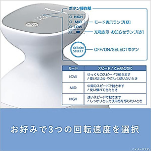 Panasonic EH-HE9G-S [Scalp Esthetic Salon Touch Type Spiral Silver Style] AC100-240V Shipped from Japan 2021 Released