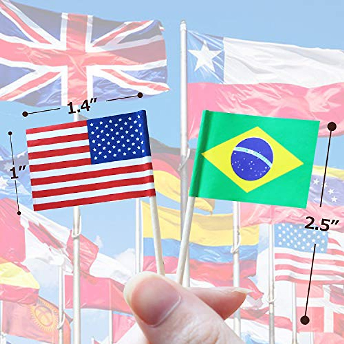 Anley Assorted 100 Different Countries Toothpick Flag - Vivid Double Sided Print & Solid Smooth Pick - Party Decoration Cocktail Fruit Stick Cupcakes Toppers(100 pcs)