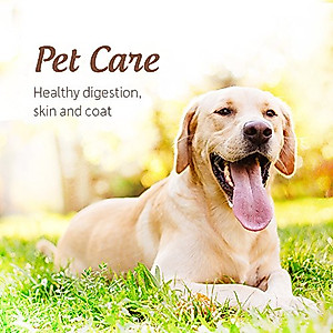 Garden of Life Organic Extra Virgin Coconut Oil - Unrefined Cold Pressed Plant Based Oil for Hair, Skin & Cooking, 14 Fl Oz