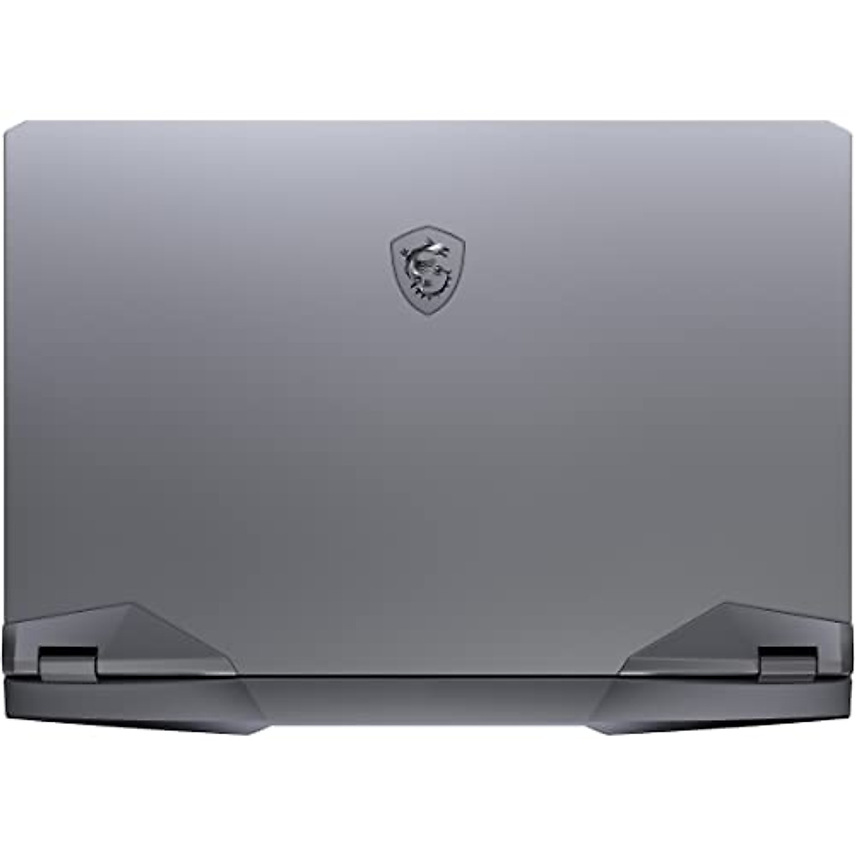 MSI GE76 Raider 17.3" 360Hz Gaming Laptop Intel Core i7-11800H RTX3070 32GB 1TB NVMe SSD Win11 - Blue (11UG-1048)