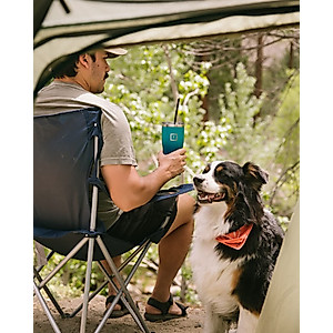 IRON °FLASK Reusable Straws - 6 Stainless Steel or Plastic Straw w/Bendy Silicone Tips, 3 Cleaning Brushes & Travel Case - Drinking Straw for Water Bottles,Tumblers & Thermos - Dishwasher Safe