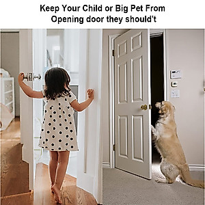 Jiayi Magnetic Cabinet Door Catches Heavy Duty Magnetic Door Latch 110lbs Large Cabinet Magnets Latches Stainless Steel Magnetic Door Catch for Heavy Door Closing Cupboard Door Closure Magnet