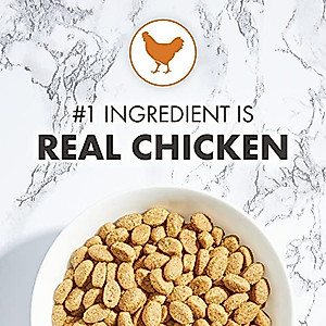 NUTRO WHOLESOME ESSENTIALS Natural Dry Cat Food, Adult Cat Chicken & Brown Rice Recipe Cat Kibble, 5 lb. Bag