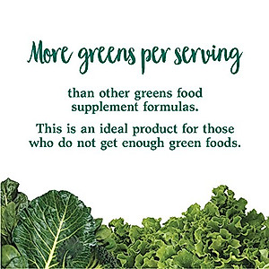 Garden of Life Whole Food Vegetable Supplement - Perfect Food Green Superfood Dietary Supplement, 300 Count