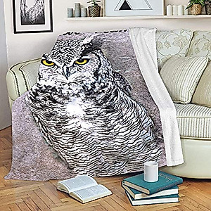 CUXWEOT Custom Blanket with Name Text,Personalized Animal Owl Super Soft Fleece Throw Blanket for Couch Sofa Bed (50 X 60 inches)