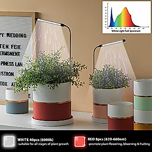 Juhefa Grow Light for Indoor Plants Growing, 6000K Full Spectrum Gooseneck Plant Lamp for Seedings Succulents Small Plants, Auto On/Off Timing & 5 Dimming, 1-PACK
