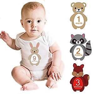 12pcs Baby Sticker, Gender Neutral Monthly Stickers for Baby boy or Girl, Create Beautiful Memories with Our Cute Animal Designs