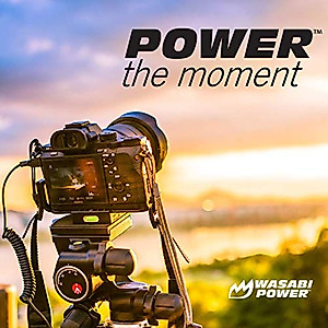 Wasabi Power NP-BX1 Battery (2-Pack) and Dual USB Charger for Sony NP-BX1/M8, Cyber-Shot DSC-HX95, HX99, HX350, RX1, RX1R II, RX100 (II/III/IV/V/VA/VI/VII), FDR-X3000, HDR-AS50, AS300, ZV-1 and More