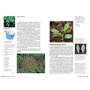 Edible Wild Plants: Wild Foods From Dirt To Plate (The Wild Food Adventure Series, Book 1)