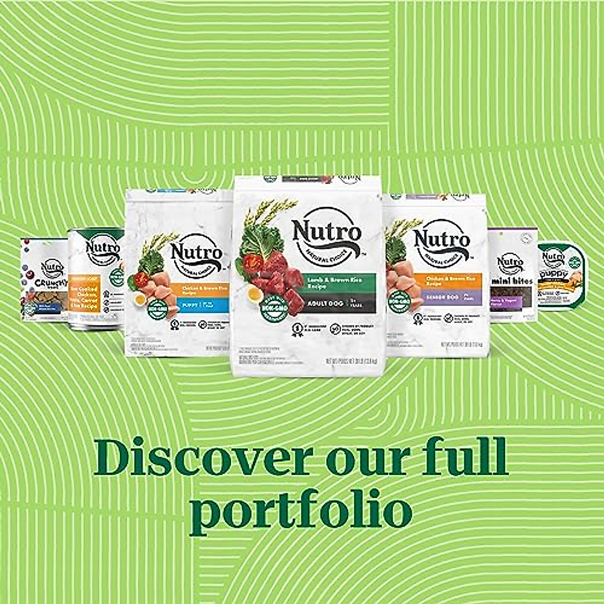 Nutro Natural Choice Adult Small Bites Dry Dog Food, Chicken & Brown Rice Recipe Dog Kibble, 13 lb. Bag