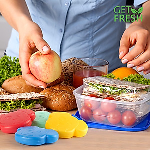 GET FRESH Mini Freezer Ice Packs for Lunch Boxes - 4-Pack Cute Small Ice Blocks for Cool Bags and Kids Lunch Box – Reusable Animal Freezer Blocks for Kids Lunch Cool Boxes Bags with 10 Food Picks