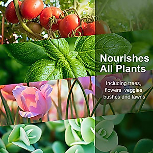 QYO Base A & B Nutrients(200ml in Total), Plant Growing Nutrient Plant Food for All Plants, All-Purpose Concentrated Fertilizer for Any Hydroponics System, Potted Houseplants, for Outdoor & Indoor