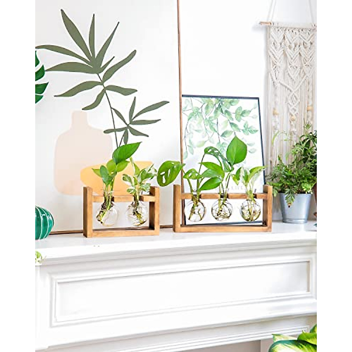 Ivolador Tabletop Propagation Station,Plants Terrarium Glass Bulb Terrarium with Retro Solid Wooden Stand for Hydroponics Plants Home Garden Wedding Décor (3 Bulbs)