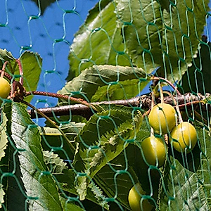 33 Ft x 6.5 Ft Green Anti Bird Netting Garden Protection Mesh Net Reusable Protective Garden Netting for Plants Fruit Trees Against Birds,Deer and Other Animals,Netting Fence (33 x 6.5 ft)