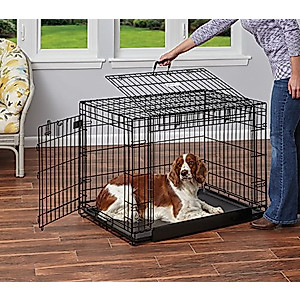 MidWest Homes for Pets Ovation Double Door Dog Crate, 36-Inch