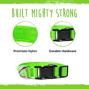 Mighty Paw LED Dog Collar - USB LED Rechargeable - USB Rechargeable Light - High Visibility Glow Strips - Glow Pet Weather Resistant - Enhanced Nighttime Visibility - Light Up Dog Collar - (L, Green)