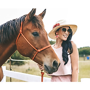 Horse Earrings Funny Kentucky Derby Race Horse Drop Dangle Earrings for Women Western Cute Horse Dangling Earrings Jewelry Gift for Horse Racing Fan