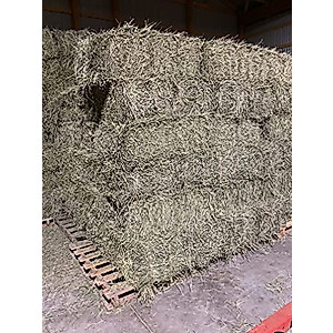 FPS Fox Peak Timothy Hay Rabbits, Guinea Pigs, Chinchilla Food (10+ lb.)