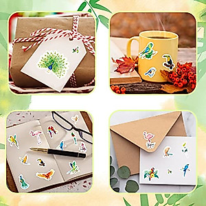 Watercolor Bird Stickers Party Favors 730 Counts Animal Jungle Woodland Tropical Birds Flamingo Parrot Stickers Gift Water Bottle Scrapbook Laptop Planner Stickers Kids Boys Girls Birthday Party