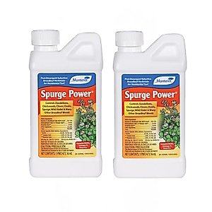 Monterey Spurge Power Post Emergent Selective Herbicide Concentrate, 16 oz (Pack of 2)