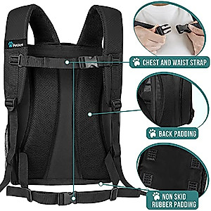 PetAmi Deluxe Pet Carrier Backpack for Small Cats and Dogs, Puppies | Ventilated Design, Two-Sided Entry, Safety Features and Cushion Back Support | for Travel, Hiking, Outdoor Use (Black)