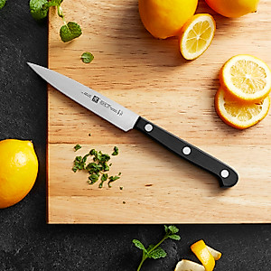 ZWILLING TWIN Gourmet 4-inch Paring Knife
