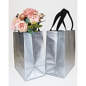 HUANN 6 Pcs Silver Gift Bags Medium Size Shine Reusable Gift Bags with Handles Metallic Glossy Non Woven Gift Bags for Wedding Christmas Party Birthday 8 x 5 x 10 Inch