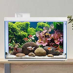 AWERT 48x24 inches Aquatic Plant Aquarium Background River Bed & Lake Fish Tank Background Vinyl