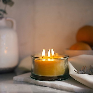 Bluecorn Botanica Beeswax Candle - 3-Wick Scented Candle Made with Pure Beeswax & Vanilla