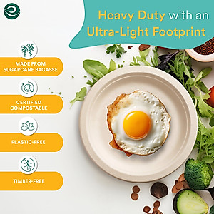 ECO SOUL 100% Compostable 6 Inch Small Paper Plates 500 [4x125 Pc] Disposable Bulk Party Heavy Duty, Eco-Friendly, Appetizer, Dessert, Wedding Plates I Biodegradable Unbleached Sugarcane Eco Plates