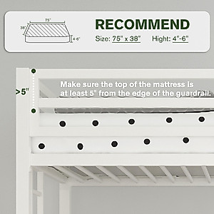 MUTICOR Loft Bed Frame for Juniors&Adults, Metal Loft Bed Twin Size with Safety Guardrail&Removable Ladder, Space-Saving, Noise Free, Cream White