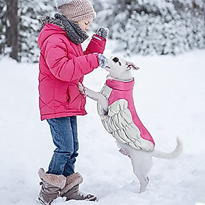 MKubwaa Polar Fleece Dog Jacket, Reflective Dog Cold Weather Coat Vest for Small Medium Dogs, Winter Waterproof Puppy Clothes with Fur Collars, Comfortable Thicken Pet Winter Apparel(Red-XL)