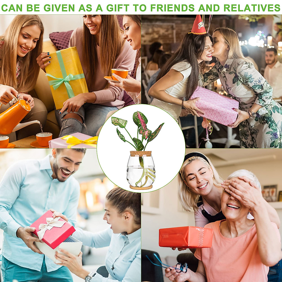 onepeng Propagation Stations, 2 Pcs Glass Planters with Wooden Tray & Lid, 5.2x4.2 inches, for Hydroponic Plants, Home Decor, Gardening Gifts for Women