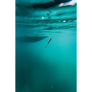 Berkley PowerBait MaxScent Fishing Soft Bait, Green Pumpkin Party, 4 1/4"