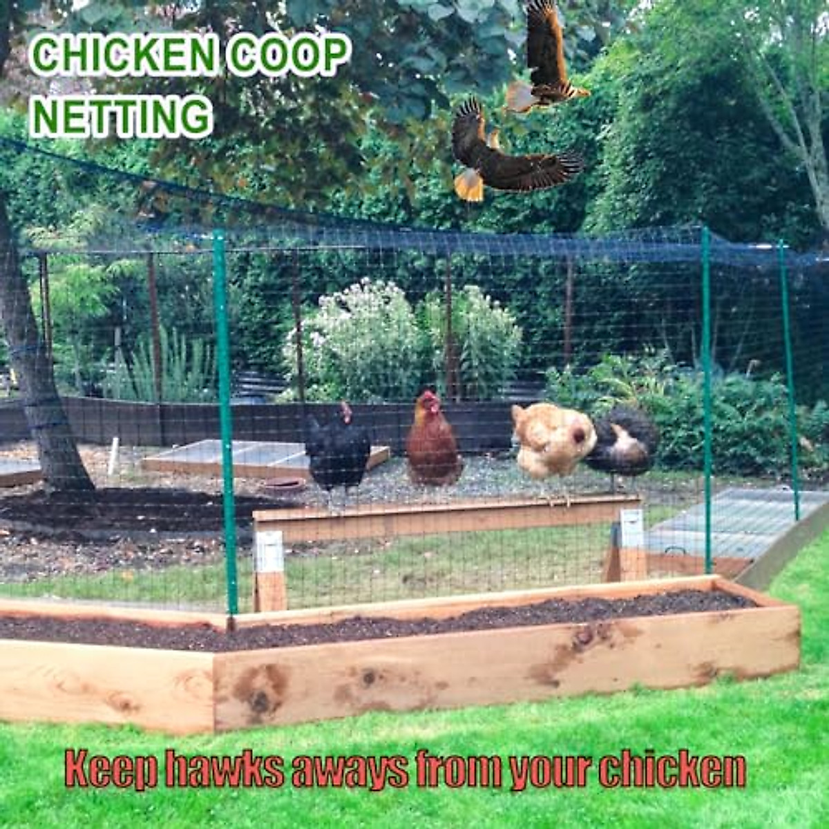 Bird Netting for Chicken Coop - 50x50ft Chicken Netting for Chicken Coop Roof, Poultry Net Coop Netting Cover, Hawk Netting for Chicken Run Fence, 2.4" Mesh Anti Bird Net for Garden Aviary Tree Deers