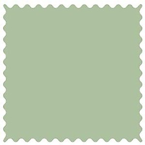 SheetWorld 100% Cotton Flannel Fabric by The Yard - 44" Wide - Medium Weight - DIY Quilting, Sewing, Crafts, Binding, Backing, Lining, and More: Textile for Creative Projects - Flannel - Sage