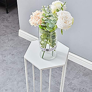 Mxfurhawa 27.55in Set of 3 Metal Plant Stand White Nesting Display End Table High Hexagon Rack Indoor Flower Holder Corner Planter Pot Rack Living Room & Patio Decor H19/23/27 Hexgon White