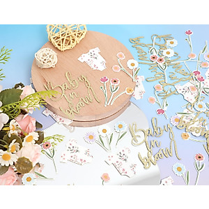 BABY Shower Script Table Confetti - Baby In Bloom Confetti Shower Decor, Floral Bodysuit Scatter Confetti, Flower Baby Gender Reveal Party Decorations, Glitter Confetti Photo Props (BABY GIRL PINK)