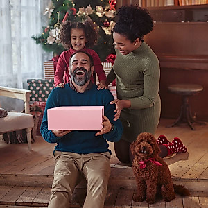 Pink Gift Box 12" x 6" x 4" with Magnetic Closure Lid Gift Box for Presents,Bridesmaid Gifts Box,Cute Box,Birthday Gift box,Luxury for Gift Packaging, Magnetic Gift Box for Wrapping Gifts (Pink)