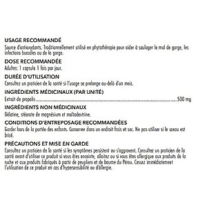 NutriWise Brazilian Bee Propolis Extract immune support 500mg