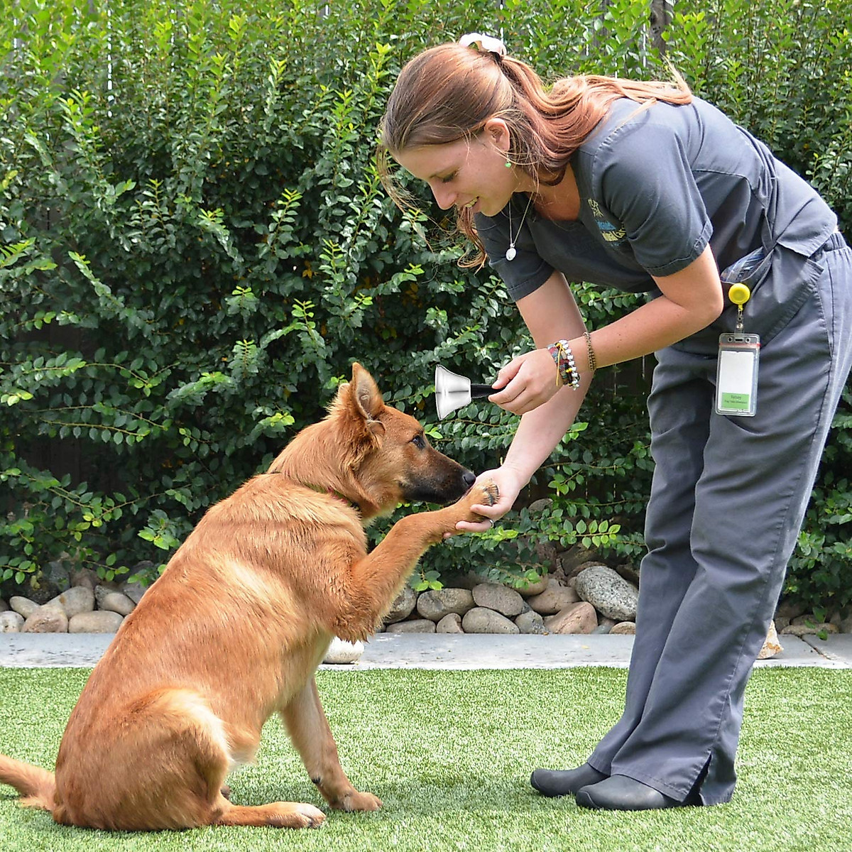 Metal Hand Bells,Silver Gold Call Bell Service Hand Bells with Black Wooden Handles for Wedding Events Decoration, Food Line, Alarm, Jingles, Ringing,Dinner Calling,Christmas Day (6 Pieces)