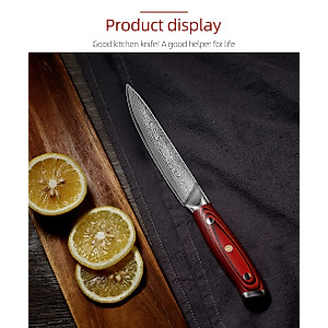 Damascus Knife 5 Inch, Damascus Kitchen Utility Knife 5 Inch, Damascus Chef Knife 5 Inch,Japanese VG10 edge, Red G10 Handle with Triple Rivets for Vegetables and Fruits in Gift Box