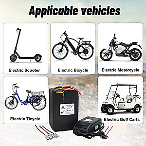 48V Ebike Battery-30AH LiFePO4 Battery Pack with 5A Fast Charger and 40A BMS for Ebikes Electric Bicycle Electric Scooter Motorcycle 500W 750W 1000W 1500W 1800W 2000W Motor…