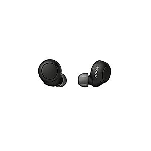 Sony WF-C500 Truly Wireless In-Ear Bluetooth Earbud Headphones with Mic - Black (Renewed)